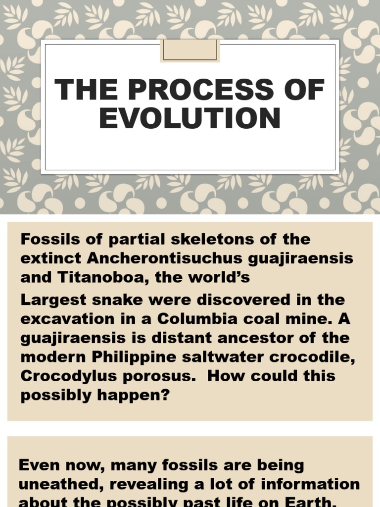 The Process of Evolution | PDF | Plant Reproduction | Sexual Reproduction