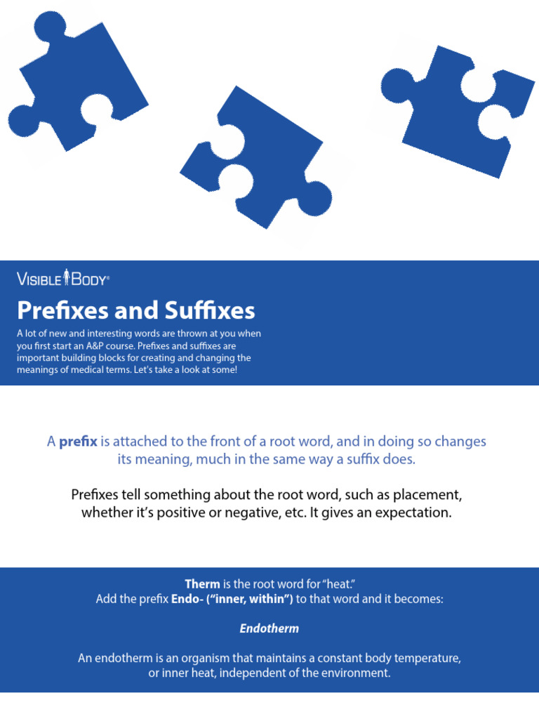 01 Prefixes and Suffixes - WS | PDF | Abdomen | Medical Specialties
