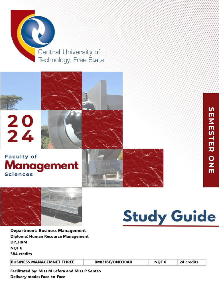 2024 BMI316E Business Management Study Guide - First Semester | PDF ...