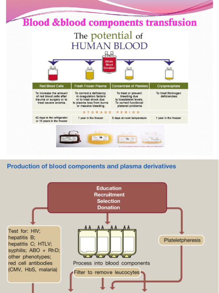Blood | PDF