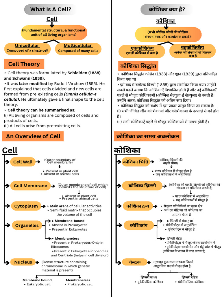 What Is A Cell | PDF
