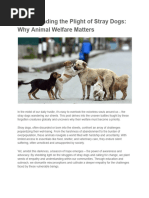 Stray Dog Awareness and Care Guide | PDF | Domesticated Animals ...