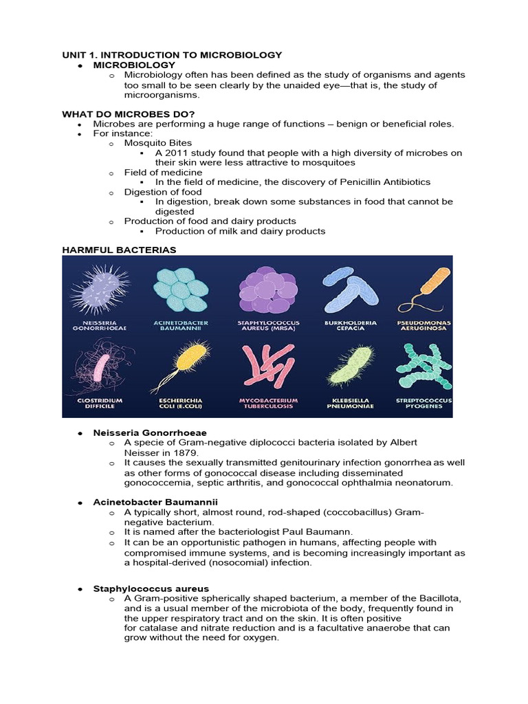 Unit 1 Introduction To Microbiology Pdf Microorganism Bacteria