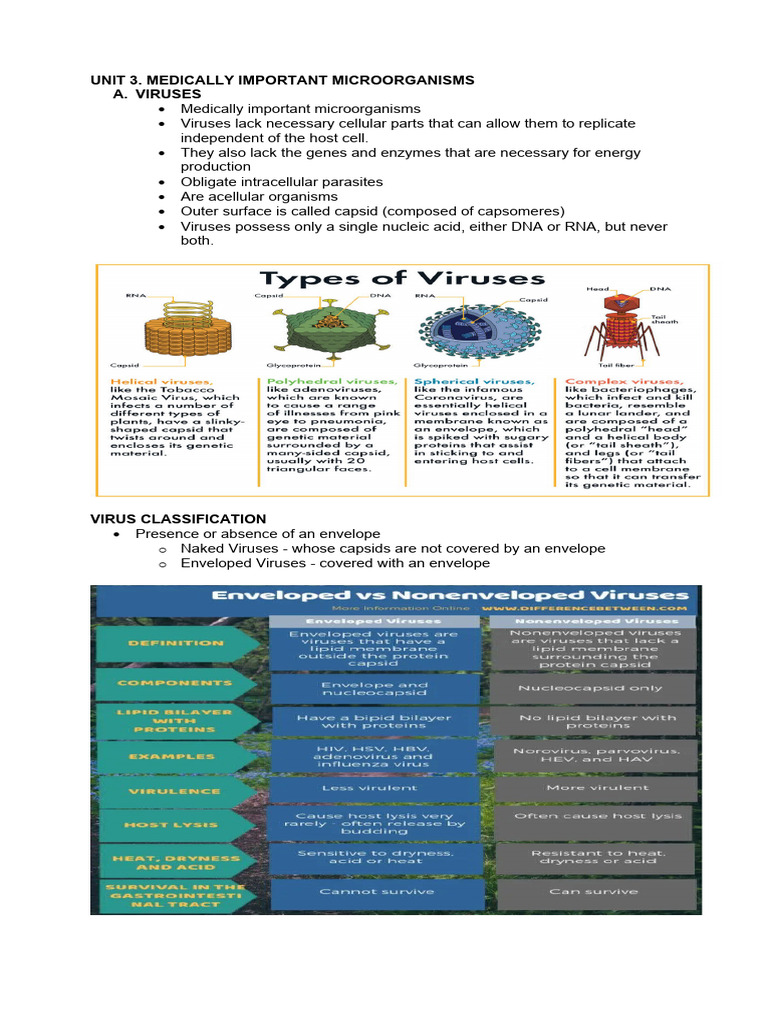 Unit 3 Medically Important Microorganisms | PDF | Bacteria | Gram ...