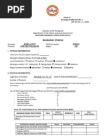Barangay Profile Template | PDF