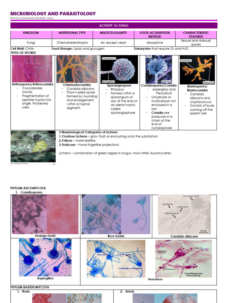 Reviewer For Practical Exam Microbiology and Parasitology Finals | PDF ...