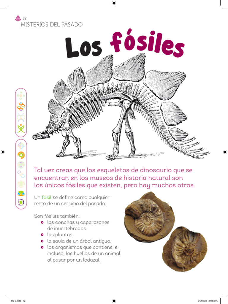 Tipos de fósiles y su formación | PDF | Fósil | Naturaleza