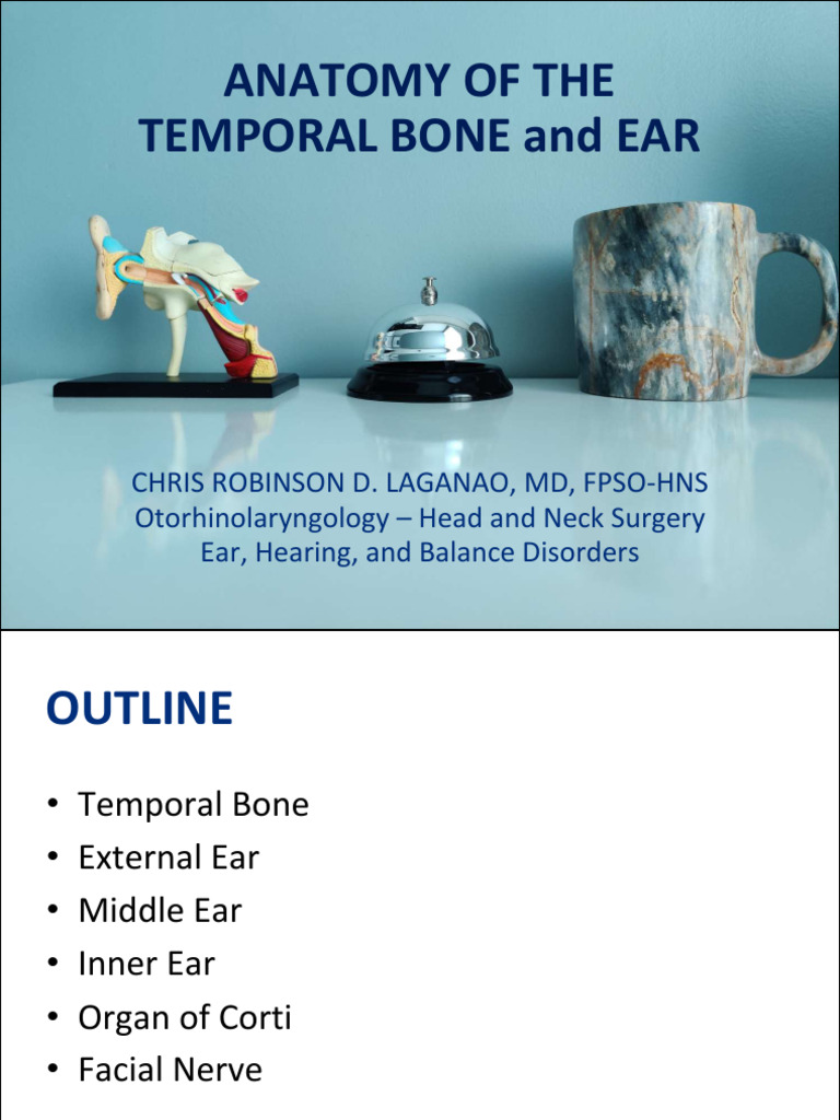 ANATOMY and PHYSIOLOGY OF THE EAR | PDF | Ear | Vestibular System