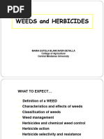 CHP 295 Special Certificate Application | PDF | Driver's License ...