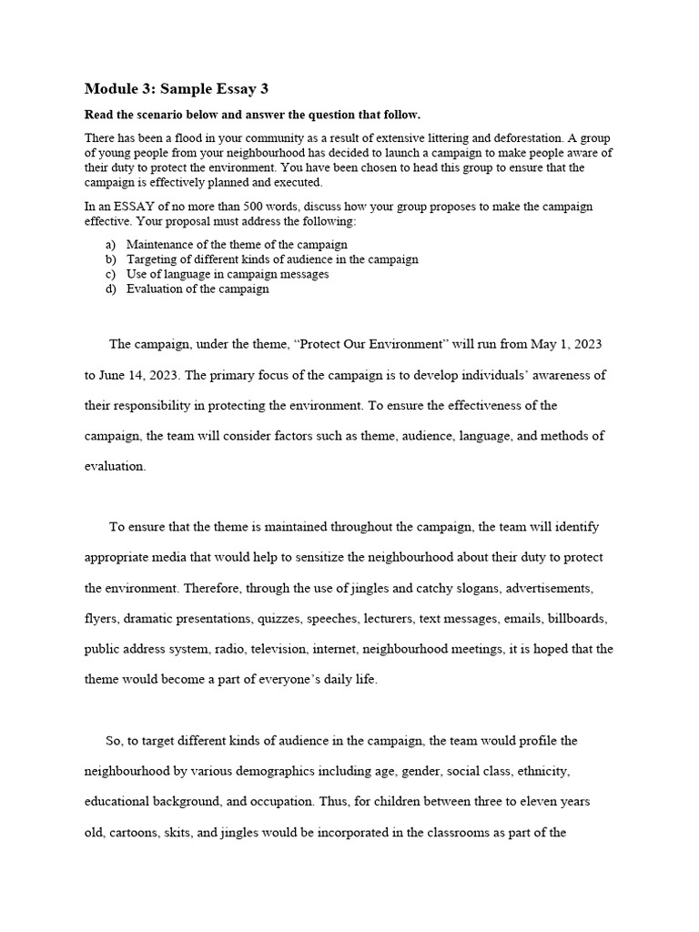 Module 3 - Sample Essay 3 | PDF | Advertising | Human Communication