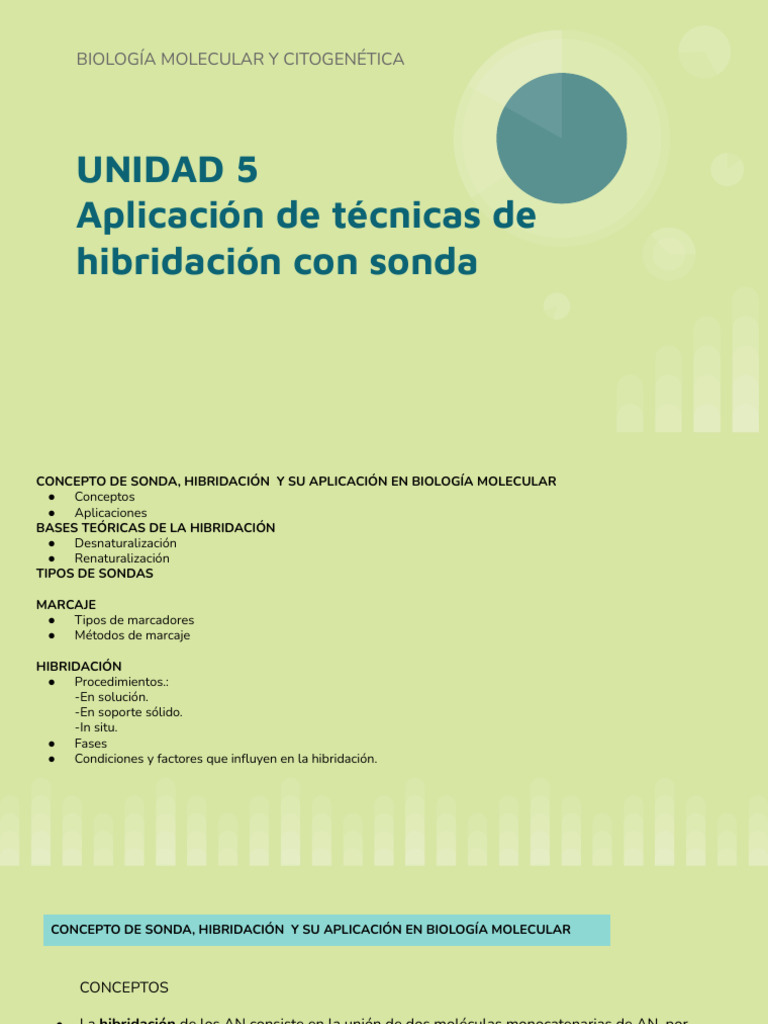 UNIDAD 5 T-Cnicas de Hibridaci-N Con Sonda | PDF | Hibridación de ácido nucleico | Hibridación ...