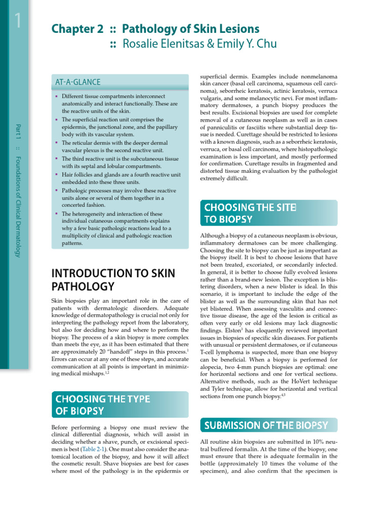 Pathology of Skin Lesions | PDF | Epidermis | Biopsy