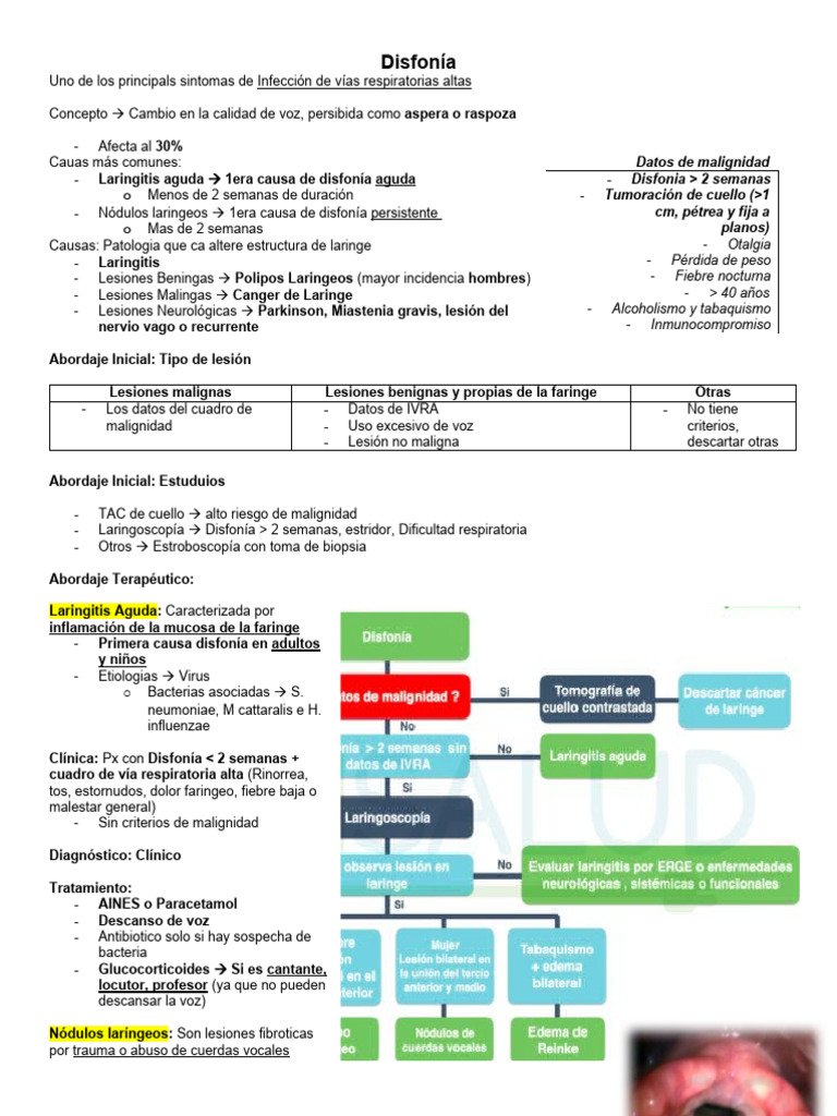 Disfonía | PDF | La enfermedad por reflujo gastroesofágico ...