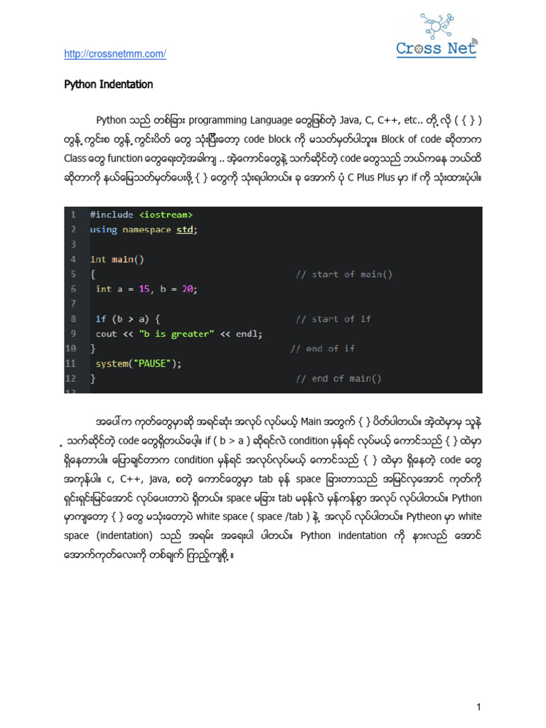 PythonForNetworkEngineer 17 - Python Indentation | PDF