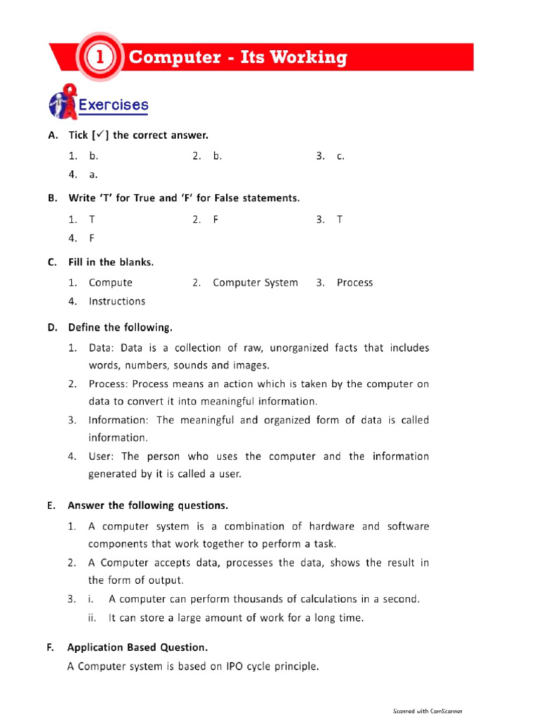 Class 3 Chapter 1 Notes | PDF
