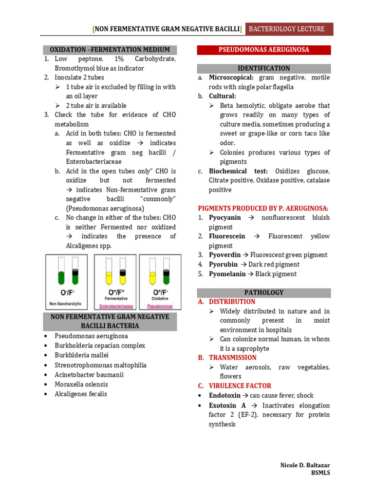 Non Fermentative Gram Negative Bacilli | PDF | Pseudomonas Aeruginosa | Infection