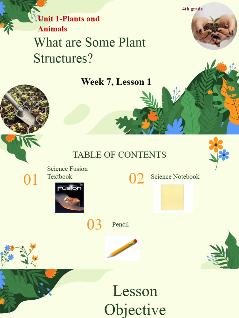 Science Week 7 Lesson 1 | PDF | Plants | Leaf