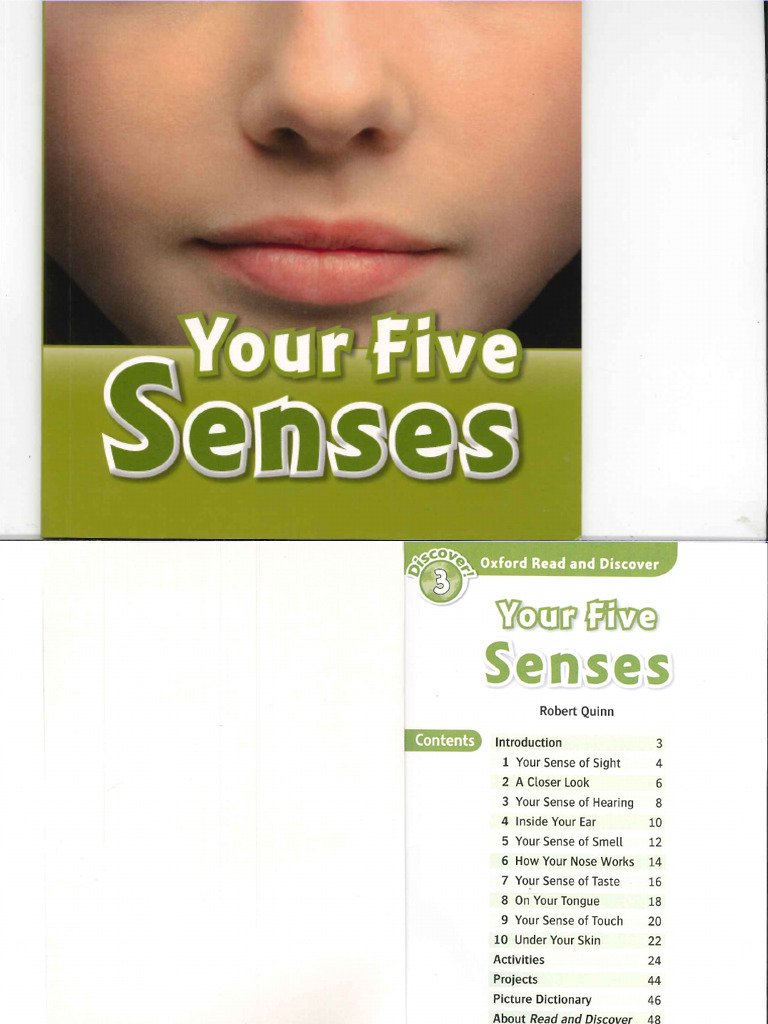 Your Five Senses | PDF