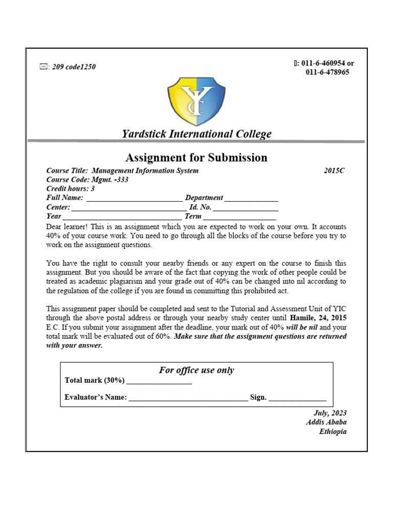 MIS Assignment Guidelines | PDF | Information | Software