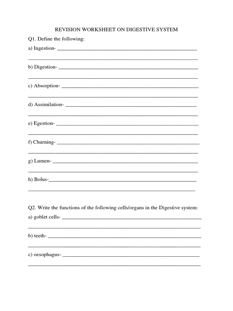 REVISION WORKSHEET ON DIGESTIVE SYSTEM-Gr 6 | PDF | Digestion | Human ...