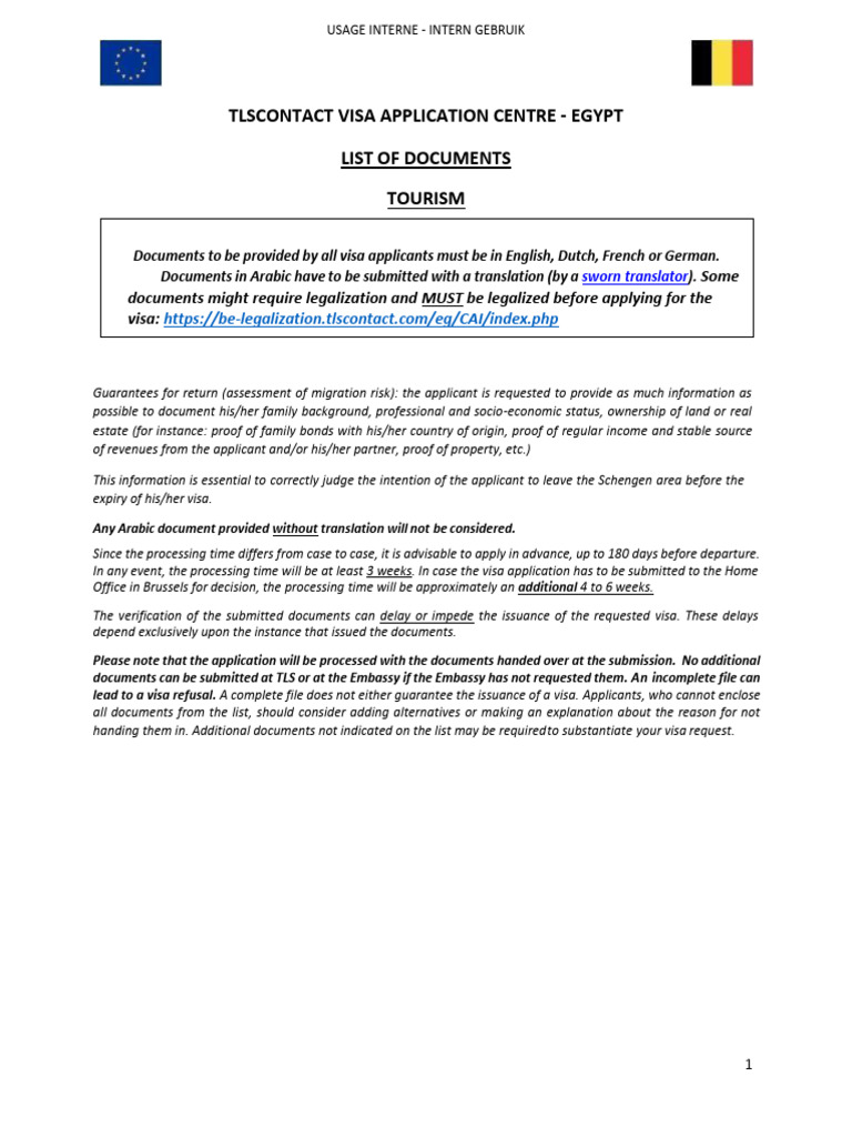 Visa Application Requirements for Egypt | PDF | Travel Visa | Passport