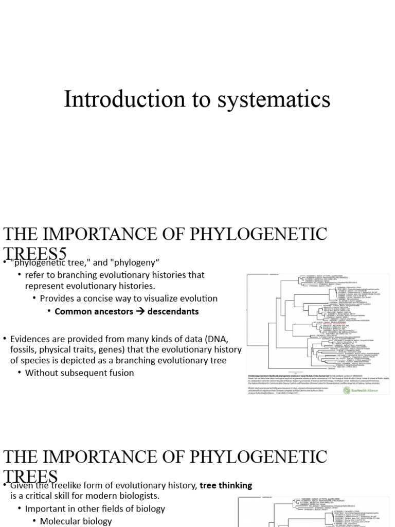 Chapter 1 | PDF | Evolution | Phylogenetics