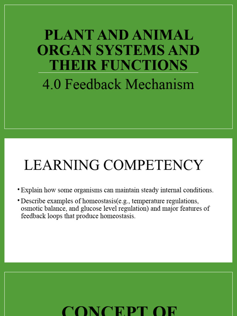 4 0 Feedback Mechanism | PDF | Homeostasis | Feedback