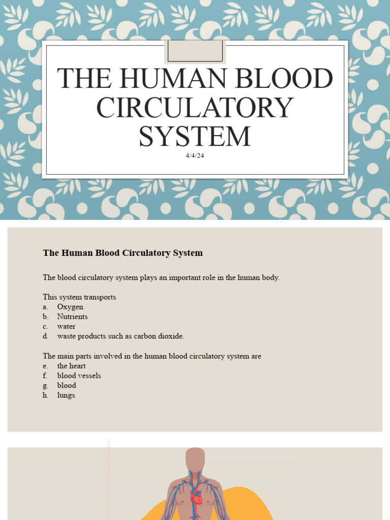 The Human Blood Circulatory System - 副本 | PDF | Blood | Blood Vessel