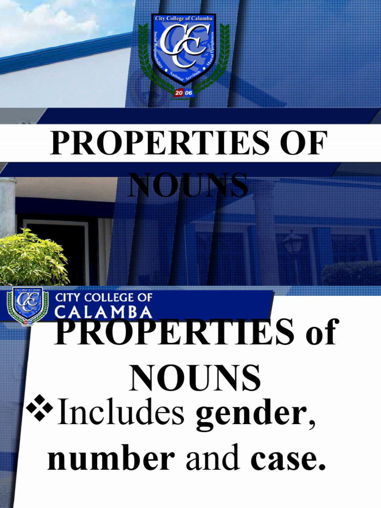 Lesson 4 Declension Number and Gender of Nouns | PDF | Grammatical ...