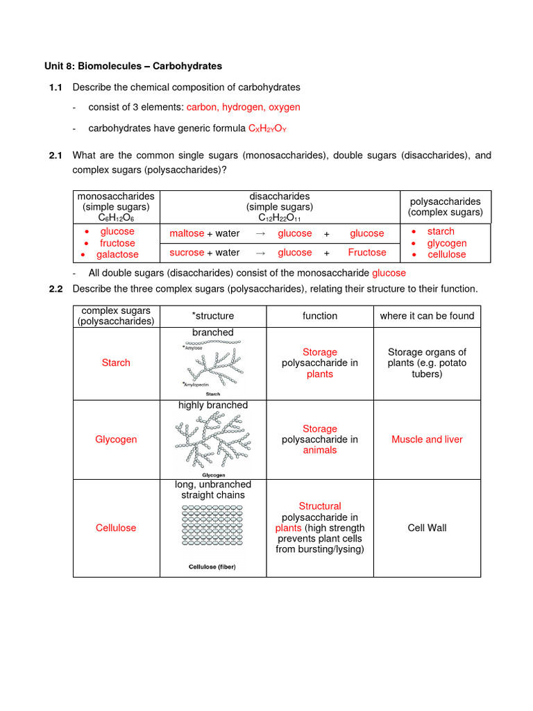 Carbohydrates: Types, Functions, and Tests | PDF | Polysaccharide ...