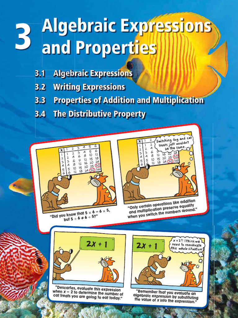 Ch. 3 Algebraic Expressions and Properties | PDF | Multiplication | Numbers