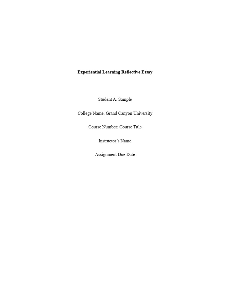 Jeisy NL Module 7 Assignment-1 | PDF | Health Care | Patient