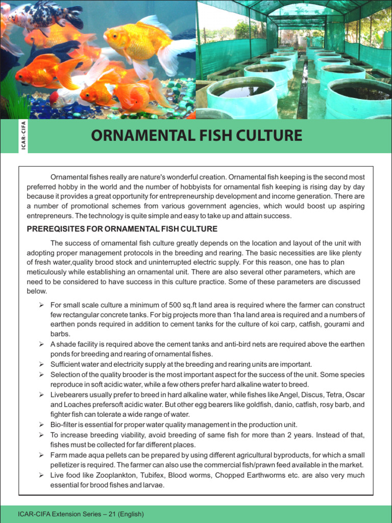Ornamental Fish Farming Guide | PDF | Fishkeeping | Fish