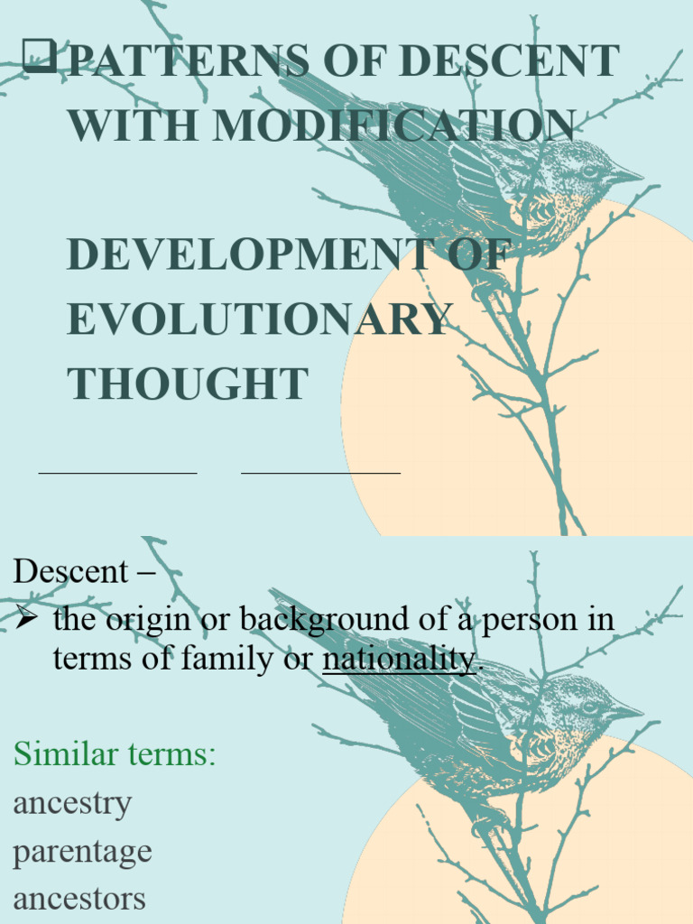 Patterns of Descent With Modification | PDF | Heredity | Evolution