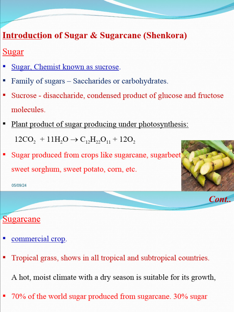 Introduction of Sugar & Sugarcane (Shenkora) | PDF | Sugarcane | Sucrose