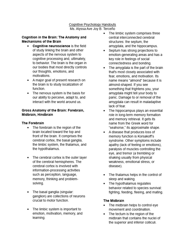 Cognitive Psychology Handouts Prelims | PDF | Brain | Psychology