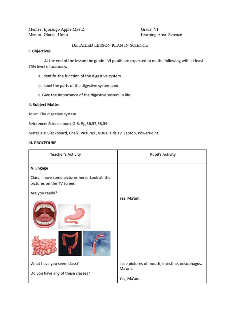 Digestive System - Apple | Download Free PDF | Digestion ...