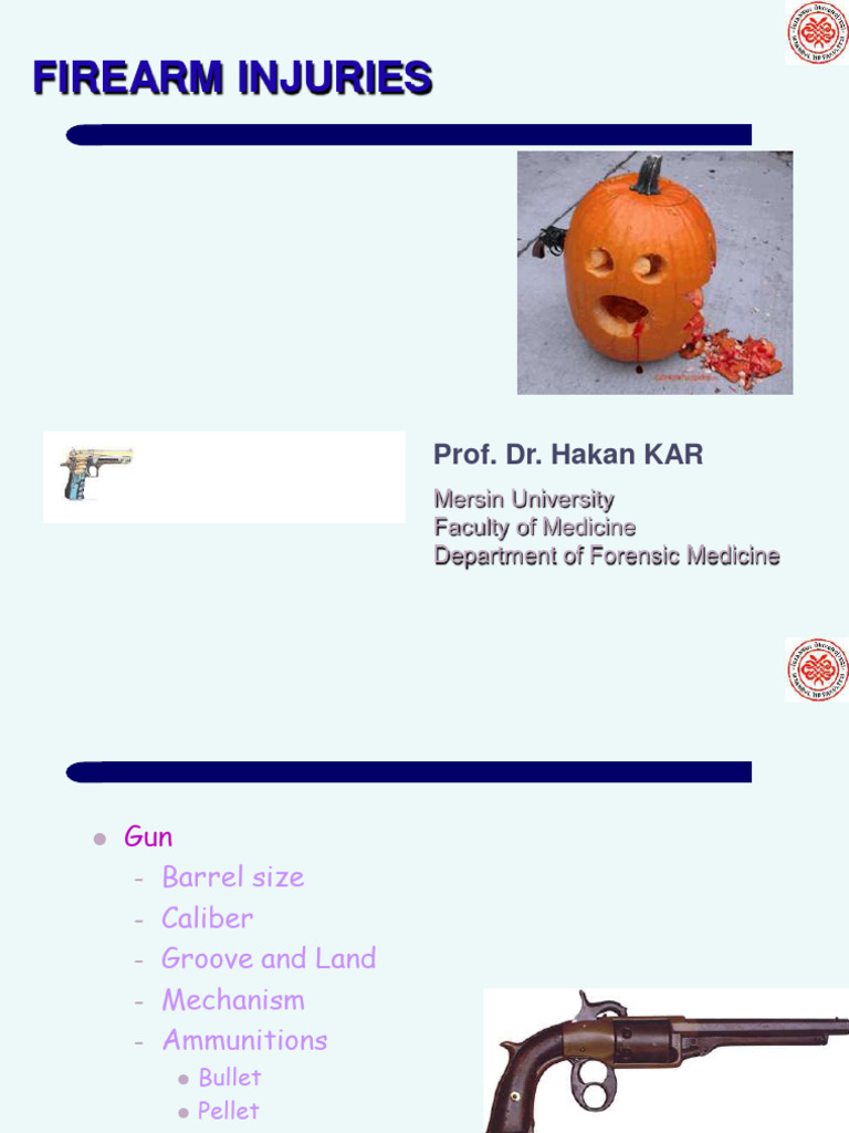 Firearm Injuries Pdf Gun Barrel Firearms