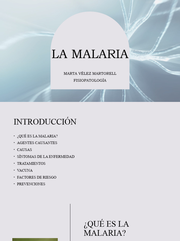 MALARIA | PDF | Malaria | Plasmodium