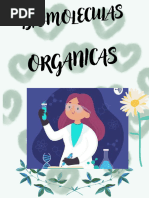 Importancia de los CHONPS en la vida | PDF | Alimentos | Nutrientes