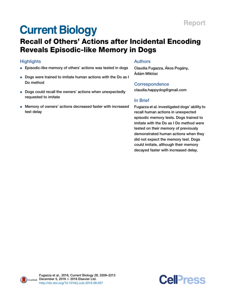 Recall of Others' Actions After Incidental Encoding Reveals Episodic ...