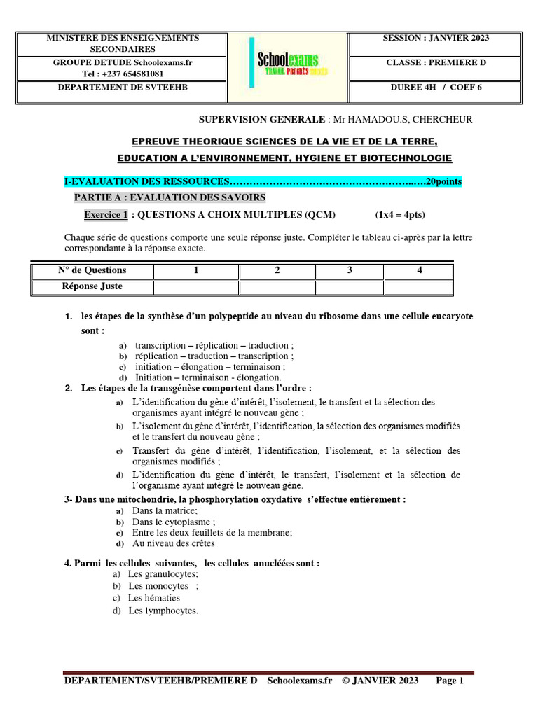 Seq 3 Svteehb PD | PDF | Virus | Gène