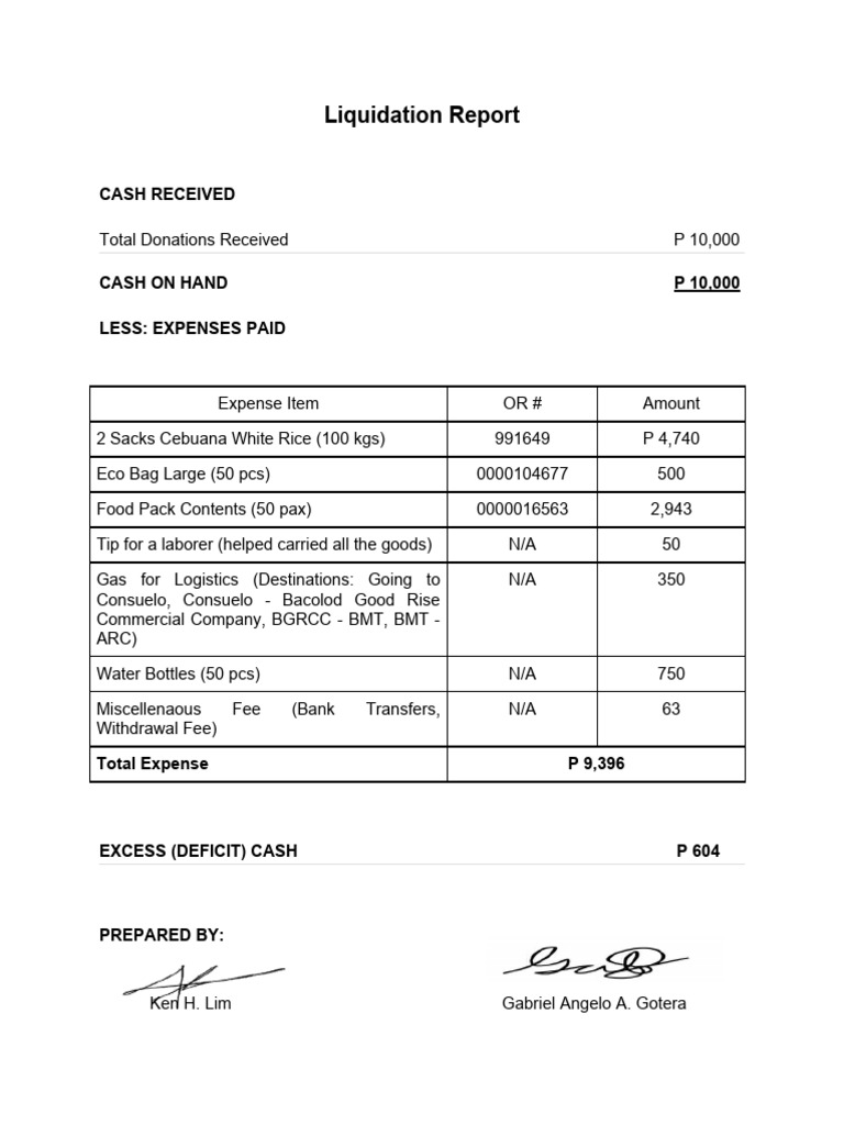 Liquidation Report Summary and Expenses | PDF