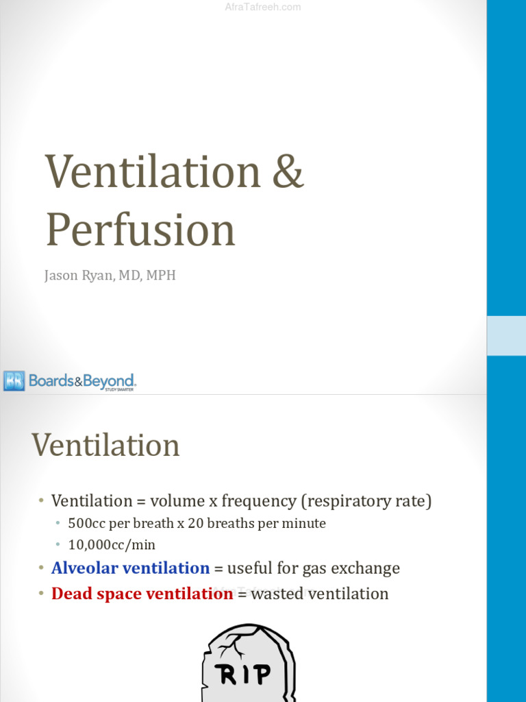 Ventilation and Perfusion Atf | PDF | Breathing | Lung