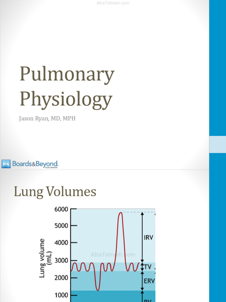 Pulmonary Physiology Atf | PDF | Lung | Respiratory Tract