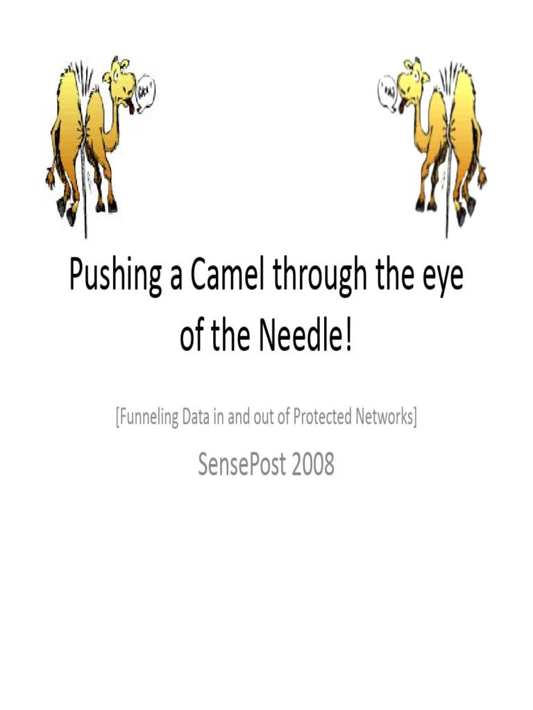 SensePost Eye of A Needle | PDF | Domain Name System | Microsoft Sql Server