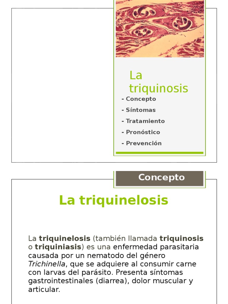 La Triquinosis | PDF | Enfermedades y trastornos | Medicina CLINICA