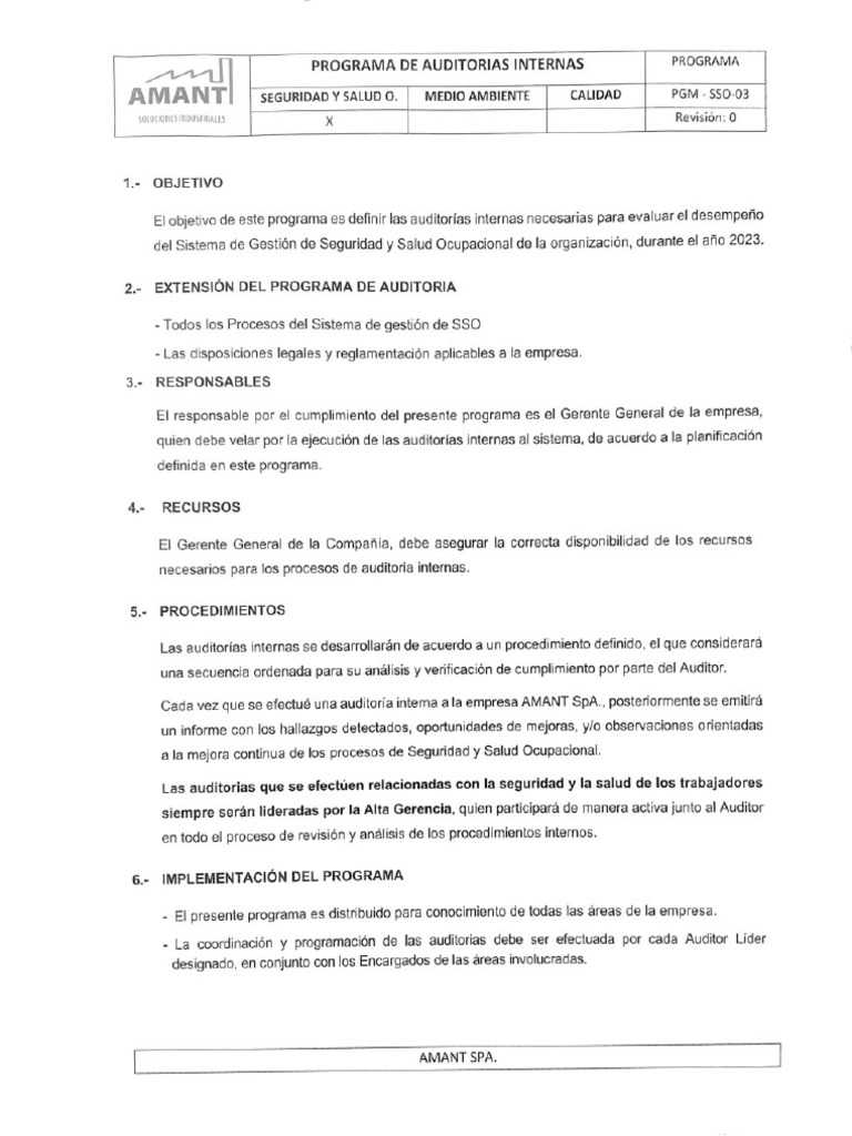 Programa de Auditorias Internas | PDF