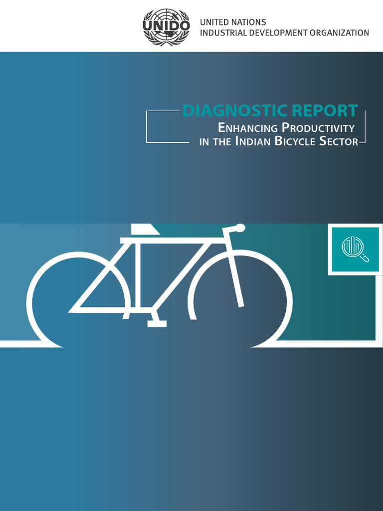 Bicycle - Diagnostic Assessment Report | PDF | Innovation | Governance