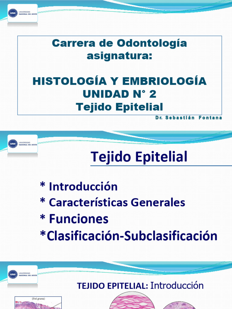Tejido Epitelial Generalidades, Clasificación | PDF | Epitelio | Anatomía